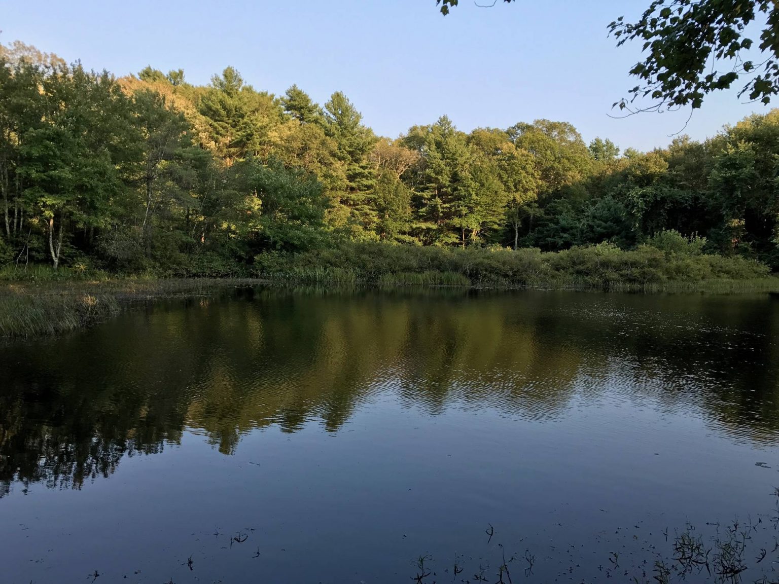 Facilities - Mansfield Fish and Game